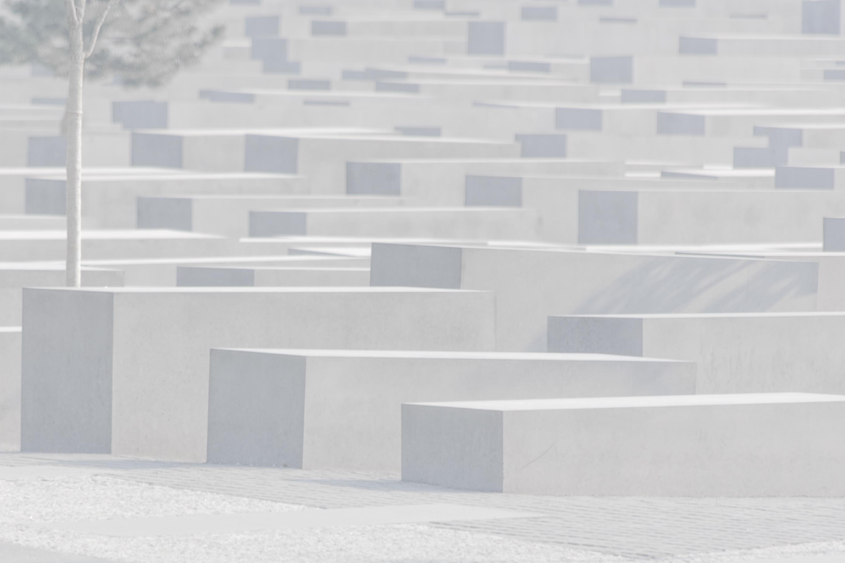 Robin Lowe Photography