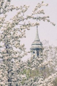 Robin Lowe Photography