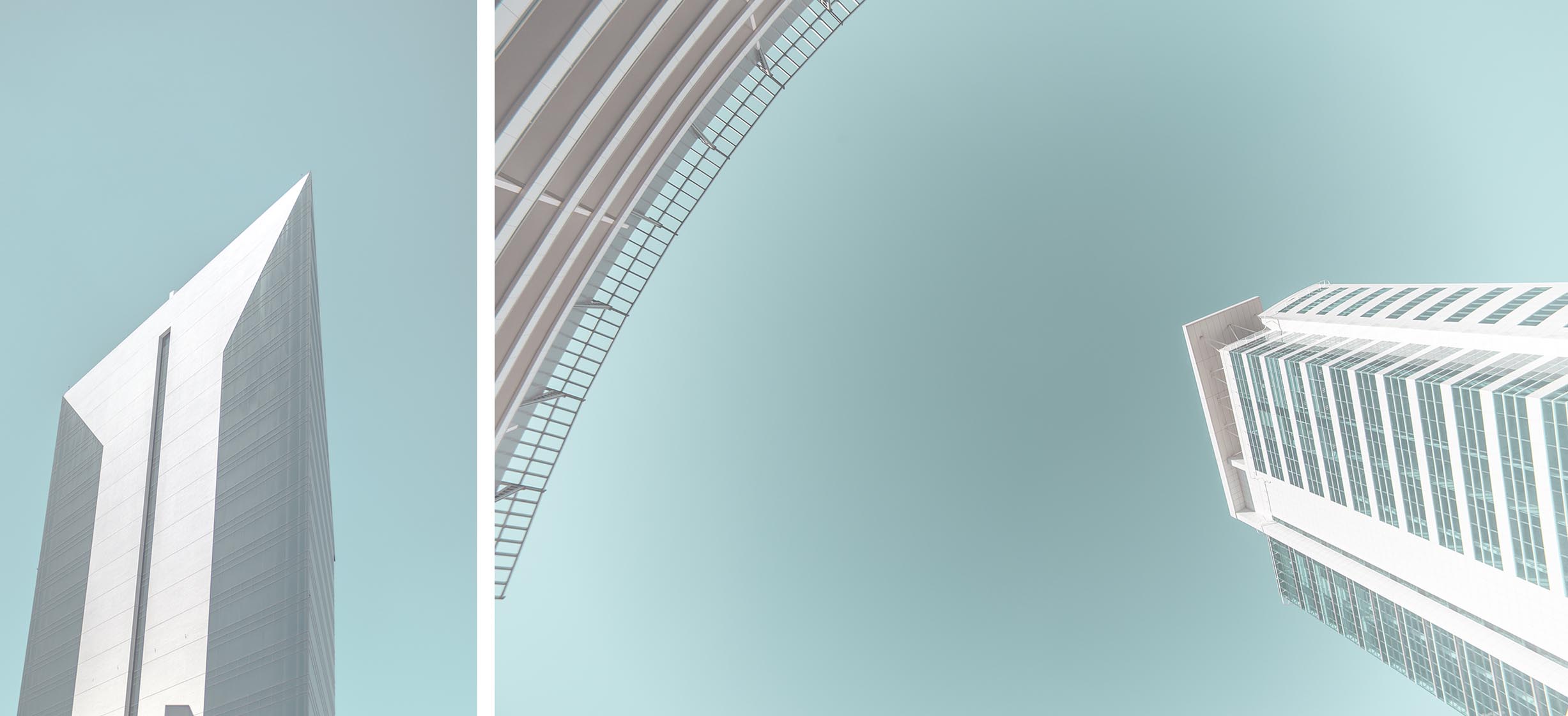 Robin Lowe Photography