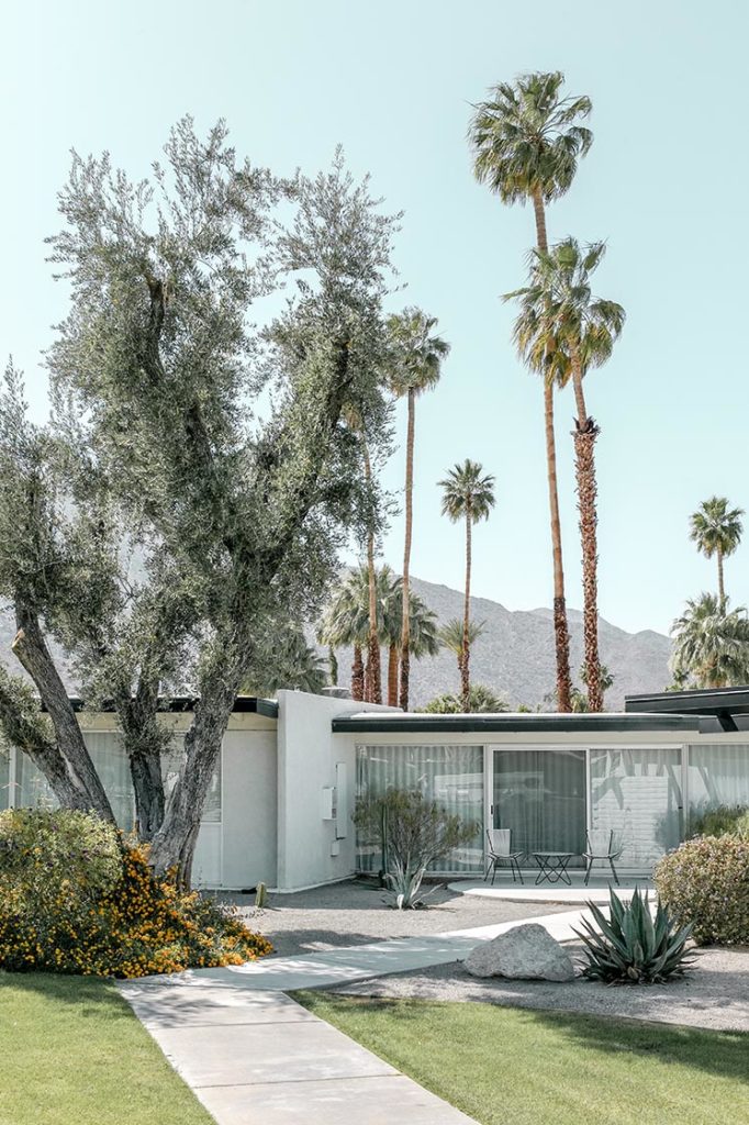 Robin Lowe Photography